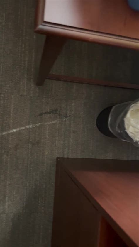 Piss Marking Hotel Room