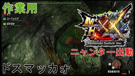 作業用 MHXX集会所クエストLv 2絢爛豪華な武闘会 YouTube