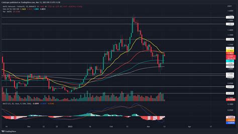 Polygon Coin Could Slide To 1 As Multiple Hurdles Pressurize Matic Buyers