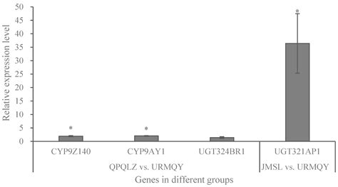 Expression And Functional Analysis Of Two Cytochrome P450 Monooxygenase
