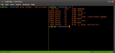 Unable To Lock Administration Directory With Apt Get Update Apt
