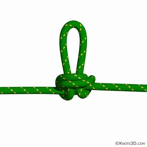 Cappio Farfalla Animazione Del Nodo Nodi 3d