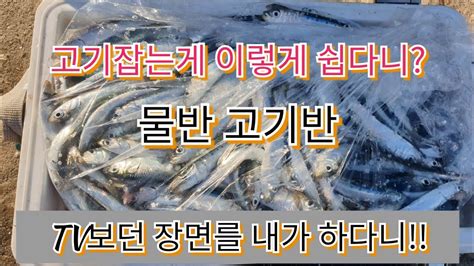 멸치정어리떼낚시물고기잡는게이렇게쉽다니멸치 Youtube
