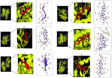 Molecular Docking Interaction Between Best Docked Compounds From Sb And