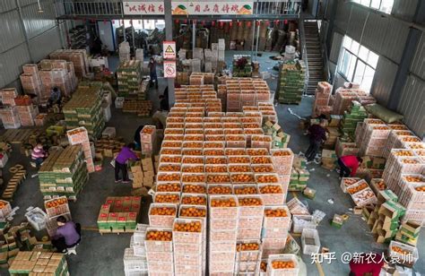 焦点农业全产业链建设与发展的模式、问题和对策 知乎