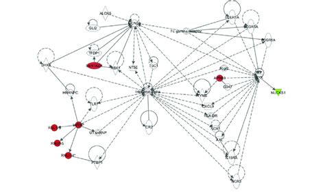 Ingenuity Pathway Analysis Showing A Network Of Known Functional