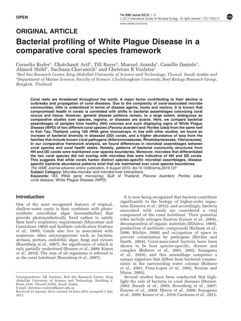 Pdf Bacterial Profiling Of White Plague Disease In A Comparative