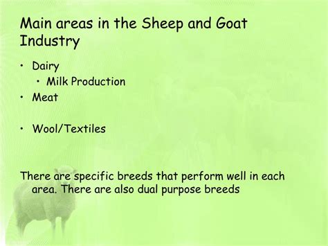 Ppt Sheep And Goat Industry Powerpoint Presentation Free Download