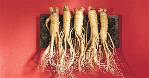 햇수삼 요리로 면역력 쑥∼ 올리세요