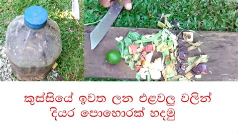 Diyara Pohora කුස්සියේ ඉවත දමන දෙයින් දියර පොහොර හදමු Youtube