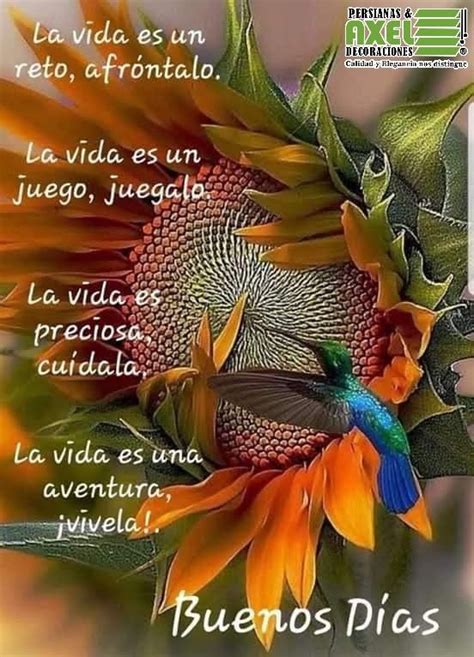 Muy buenos días ánimo feliz miércoles a disfrutarlo Good day messages