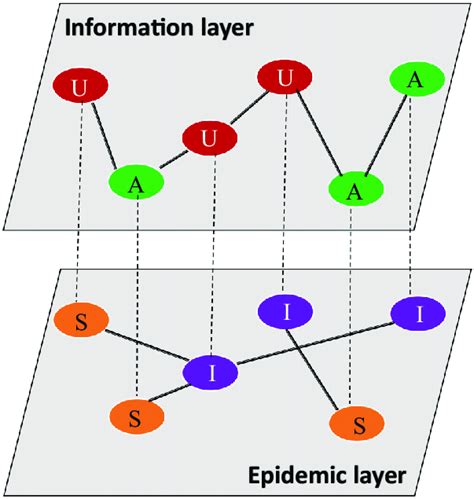 Schematic Illustration Of Uau Sis Model On A Multiplex Network The