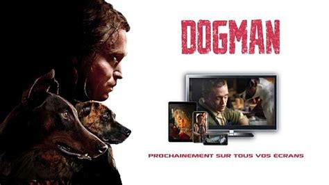 Dogman Film Vidéo Dailymotion