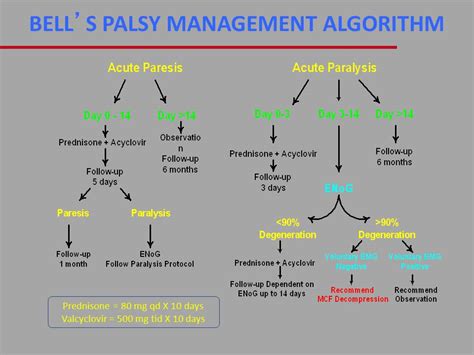 Bells Palsy Treatment Algorithm Iowa Head And Neck Protocols