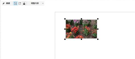 Cdr编辑位图时无法退出 Cdr原位替换图片怎么替换 Coreldraw中文网站