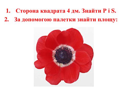 Презентація Обчислення площі за допогою палетки 4 клас