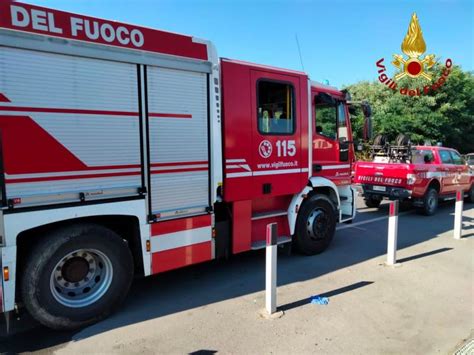 Morta Donna Investita Da Un Camion Che Trasporta Marmo Gonews It
