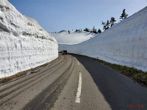画像ギャラリー雪の回廊情報志賀草津高原ルート国道292号の開通は2024年4月24日10時から モーサイ