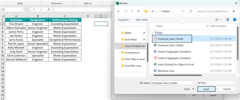 Insert Embed An Object In Excel Examples How To Do