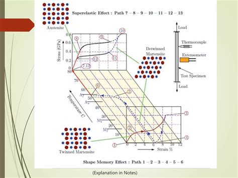 Shape Memory Effect And Superelasticity Pptx Dental Health