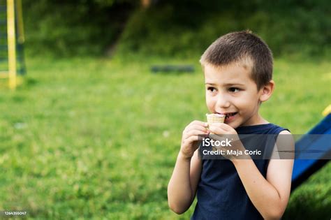 아이스크림을 먹는 미소 짓는 어린 소년 4 5세에 대한 스톡 사진 및 기타 이미지 4 5세 공원 귀여운 Istock