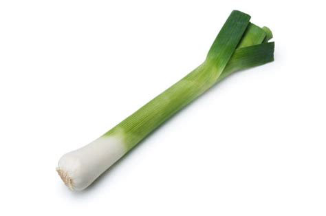 Leek Stock Photos, Pictures & Royalty-Free Images - iStock