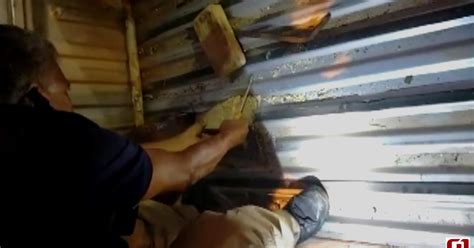 G1 Prf Apreende 72 Kg De Pasta Base De Cocaína Em Itapecuru Mirim