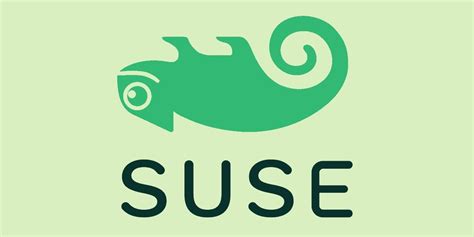 Suse To Flip Back Into Private Ownership • The Register