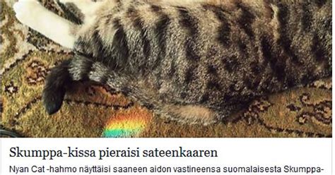 Skumppa The Cat Farted A Rainbow Gotta Love Finnish Tabloids Imgur