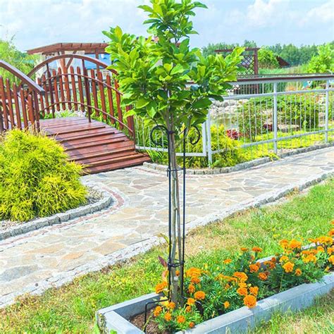 Suport Grădină Copac Mic Din Oțel 90 Cm