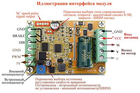 Unlock The Potential Oracle Zs3 2 Datasheet Revealed