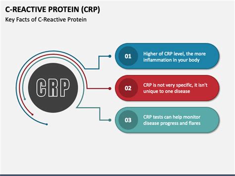 C Reactive Protein CRP PowerPoint And Google Slides Template PPT Slides