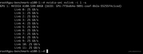 Nvidia Smi系列命令详解16 Nvlink 掘金