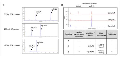 Pdf An Environmentally Compliant Solution For Fluorescence Labeled Ssdna Fragment Analysis Via