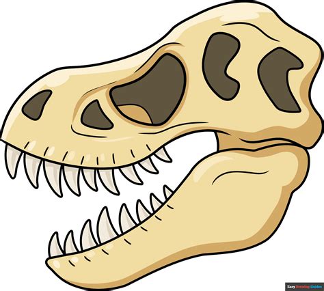 T Rex Skull Drawing Dinosaur Skull Drawing Of T Rex Skull Vector 1