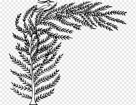 Drawing Computer Icons Tree Leaf Branch Monochrome Png PNGWing