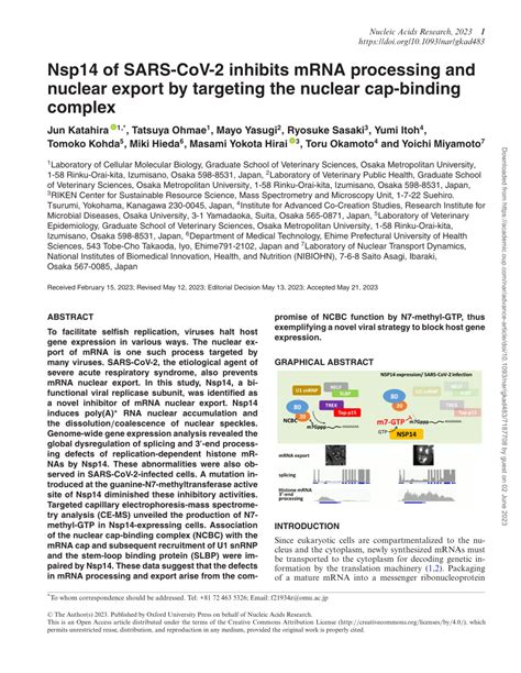 Pdf Nsp14 Of Sars Cov 2 Inhibits Mrna Processing And Nuclear Export By Targeting The Nuclear