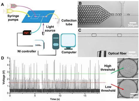 Evaluation Of The Counting Part Of The Microfluidic Platform For
