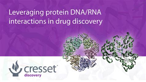 Leveraging Protein Dna Rna Interactions In Drug Discovery