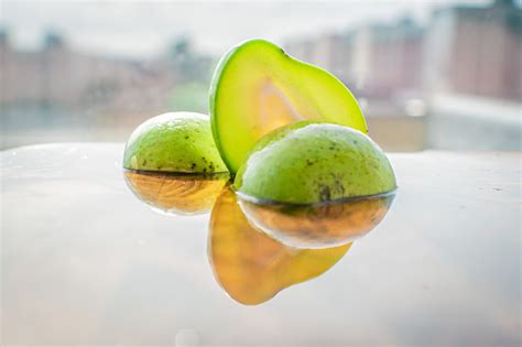 그린 망고 또는 베이비 망고는 생생한 에메랄드 그린 색상의 작은 둥근 망고입니다 0명에 대한 스톡 사진 및 기타 이미지 0명 건강한 생활방식 건강한 식생활 Istock