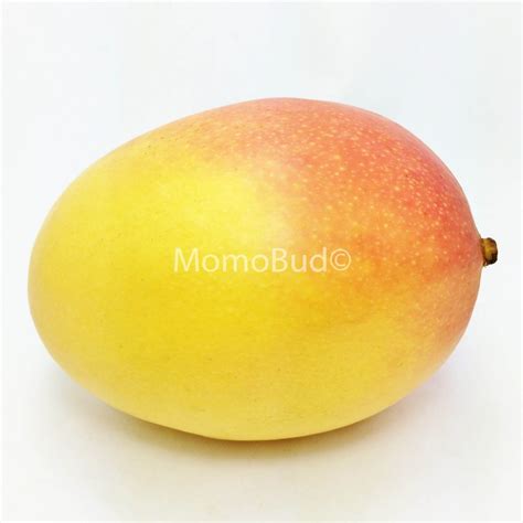 Calypso™ Mango Large — Momobud