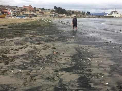 Quintero Y Puchuncaví Vecinos Se Manifiestan Para Visibilizar