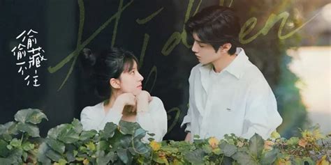 Hidden Love Seriebox