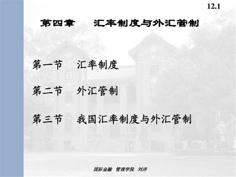 4 汇率制度 word文档在线阅读与下载 无忧文档