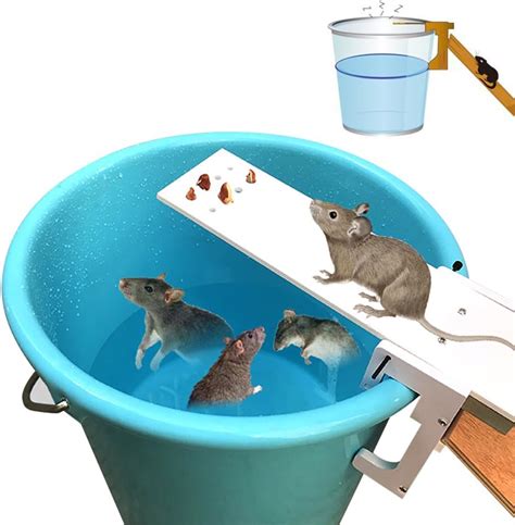 AOLVO, Walk The Plank, Humane Bucket Auto Reset Kill/Live Catch Mice Rats Pests and Rodents Non ...