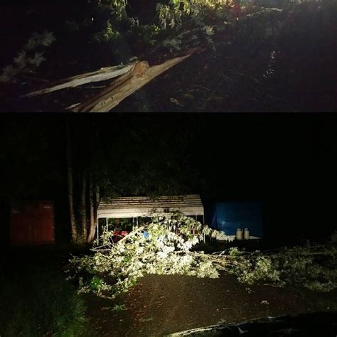 Okay I Moved 5he Massive Branch Chain H Towed To Clear The Driveway