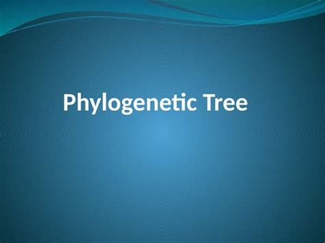 Phenetic Versus Phylogenetic Systems Pptx
