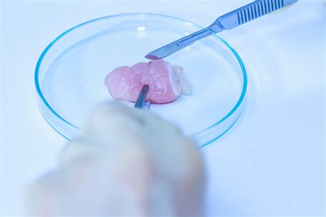 과학자 테스트 또는 과학 연구 과학 개념 과학 교육 과학 과학 실험 배경과 선택적 집중 됩니다 Dna에 대한 스톡 사진 및 기타