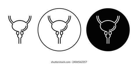 Prostate Vector Illustration Set Urinary Inflammation Stock Vector