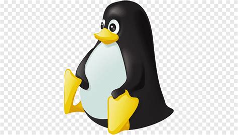 Linux Tux Computer Icons Operating Systems Linux Vertebrate Bird Png PNGEgg